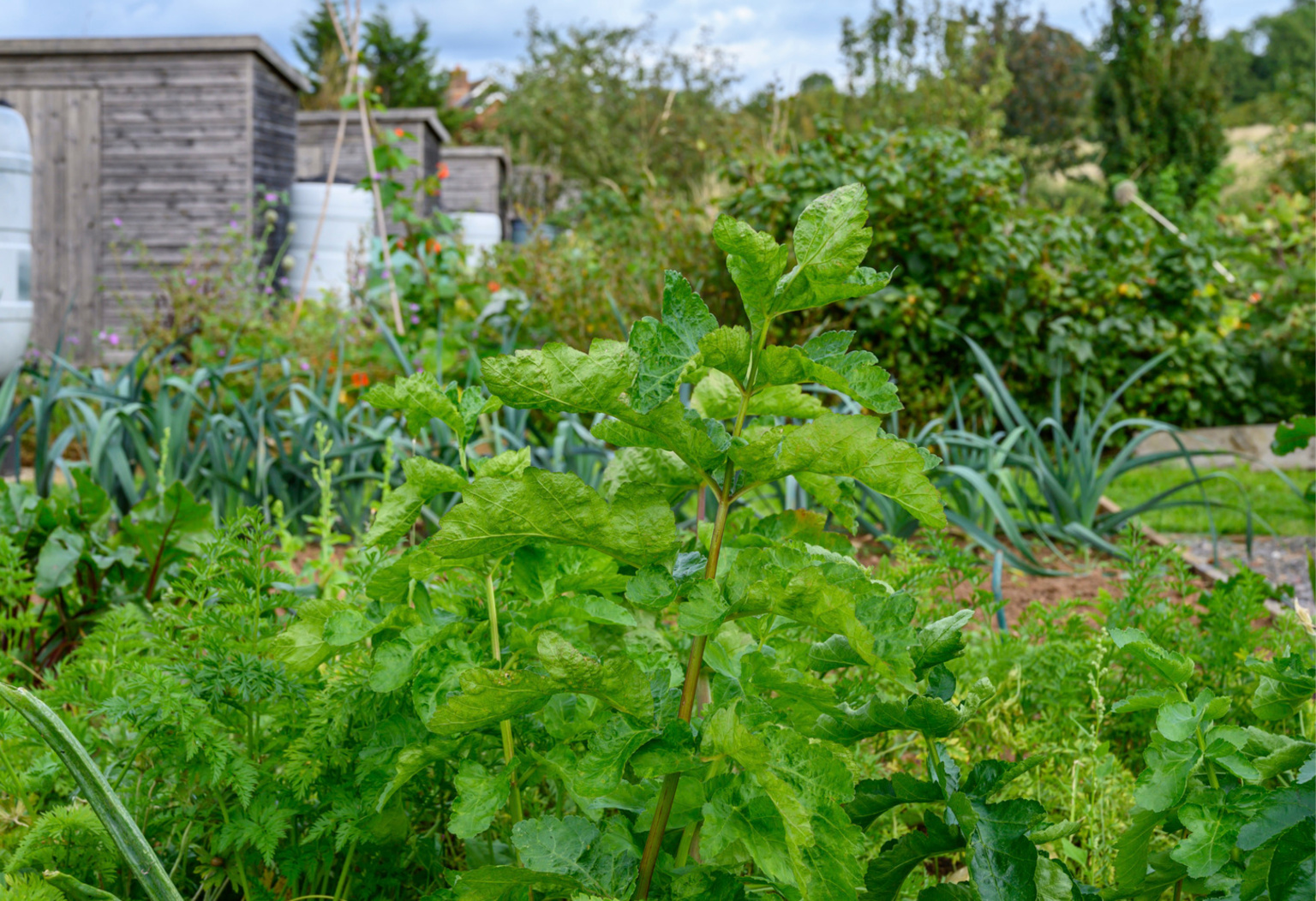 HTA Design | Bringing Nature Home – Post Occupancy Evaluation – Hanham Hall